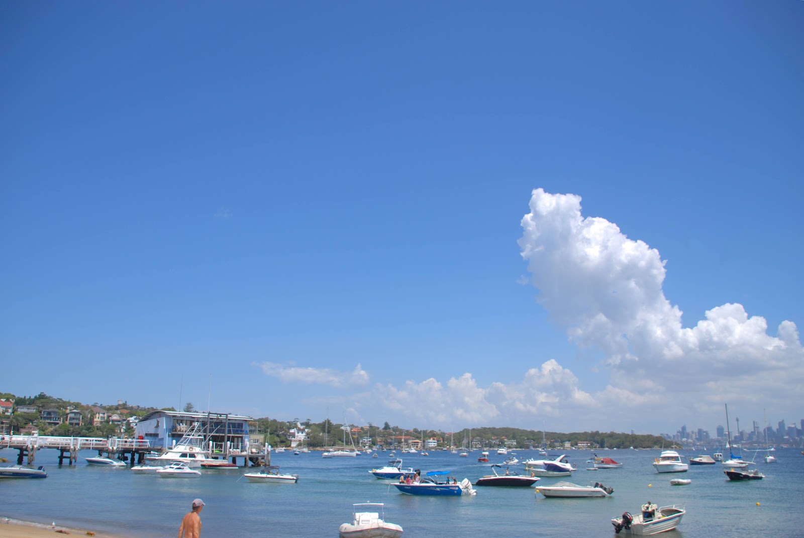 Woody at Home: Lady Bay Beach @Watsons Bay