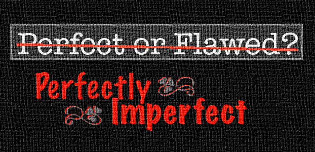 Picture This!: Flawed Main Characters