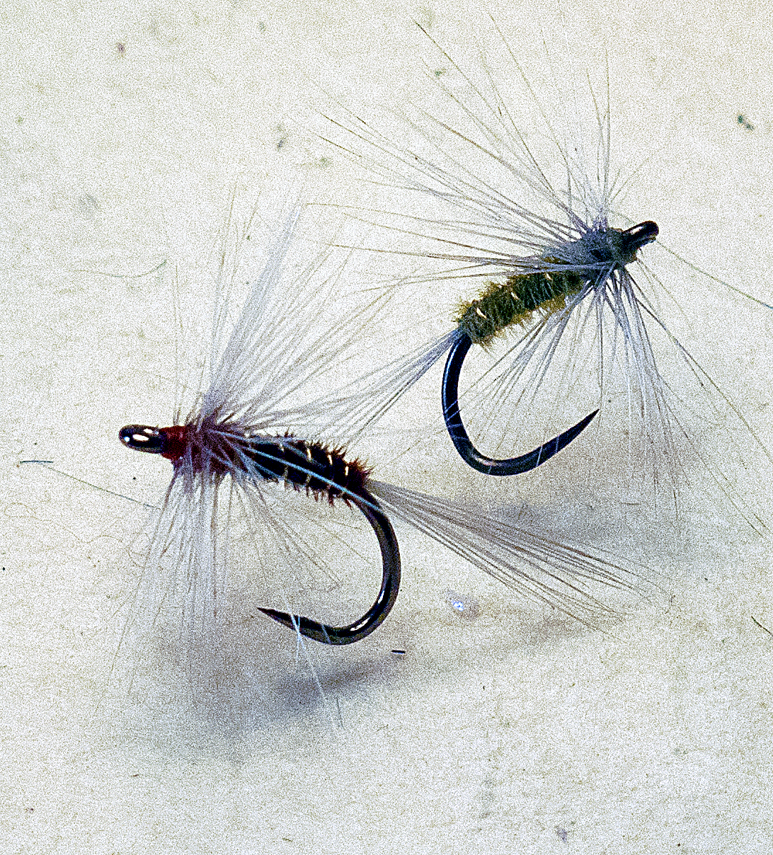 Dry Fly 'Expert': A Traditional Anatomy...