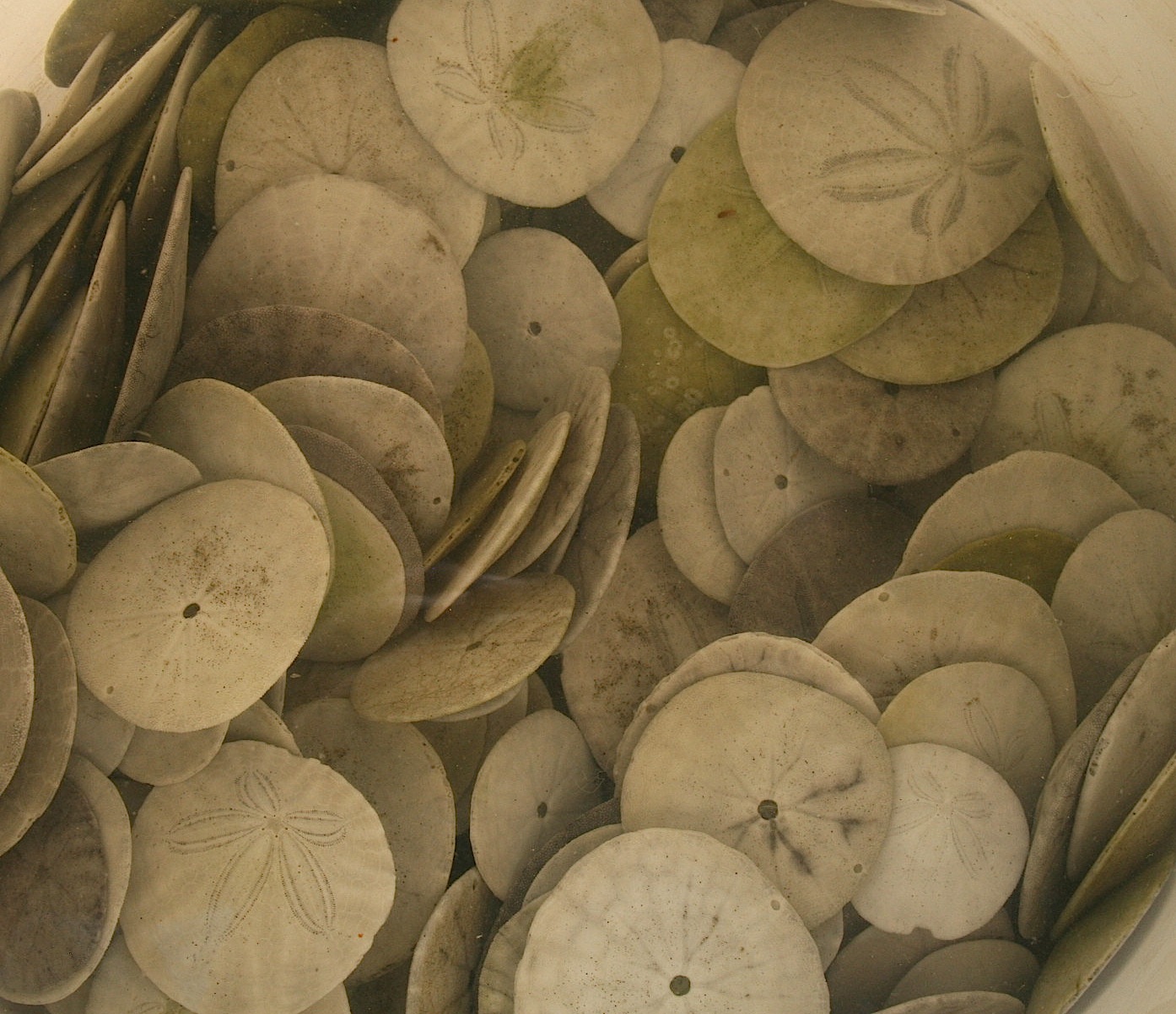 iiwii (it is what it is) so make the most of it...seriously: Week 31 ...