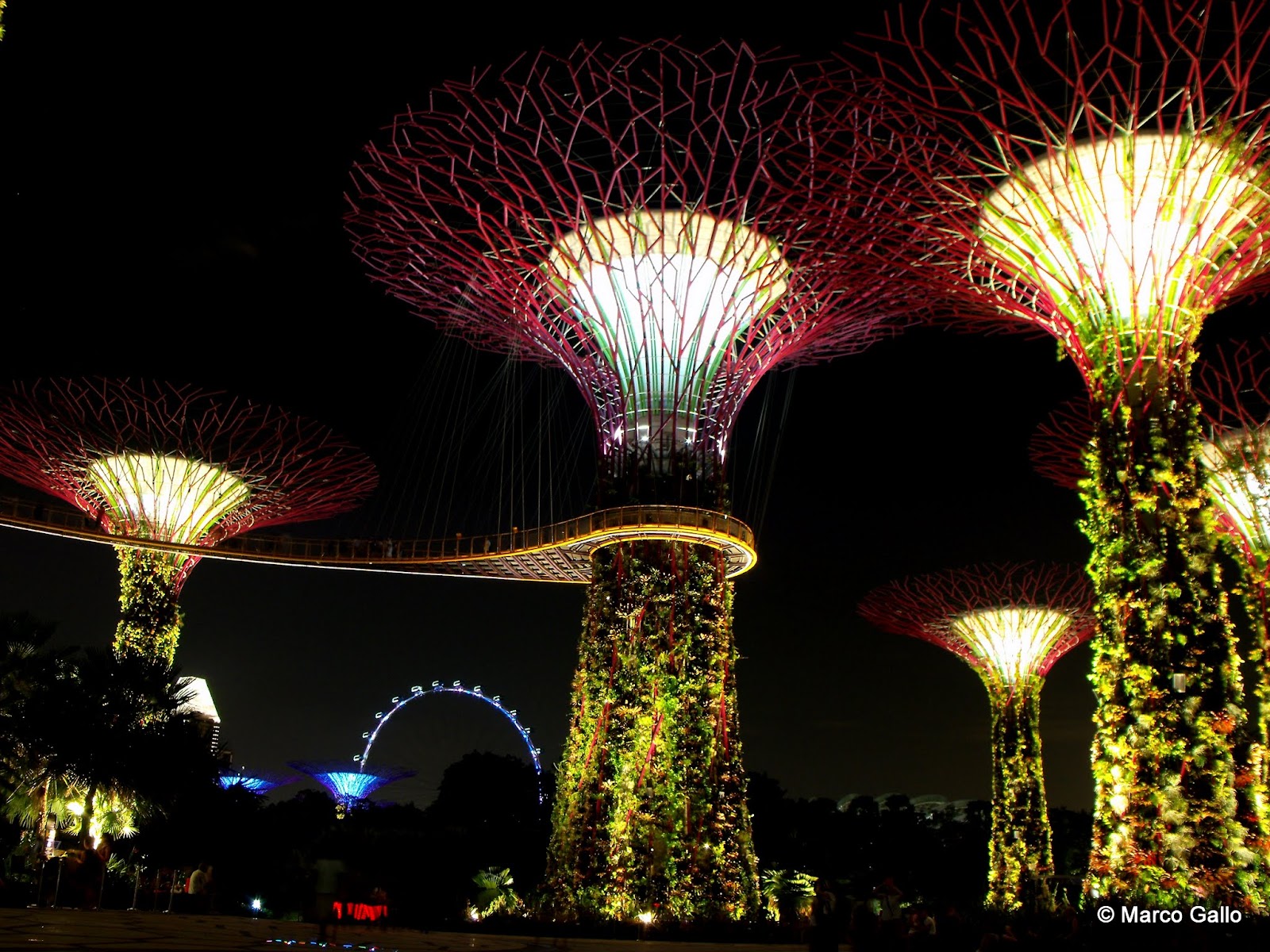 Vivir viajando: BOSQUE ARTIFICIAL. SINGAPUR