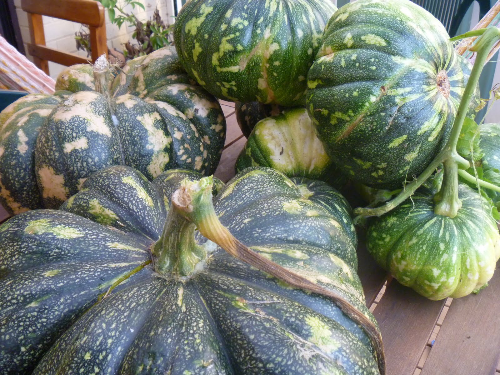 toward sustainability with three kids......: Grammas, pies and much more