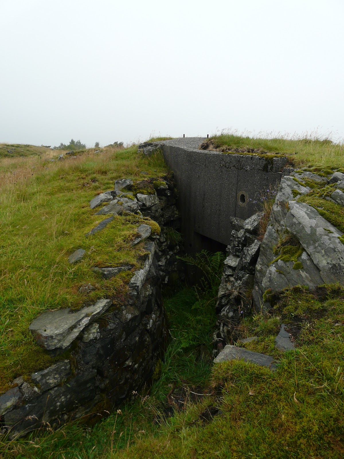 Mr Boot's Axis Blog: Fjell Festning: A Brief Overview 2