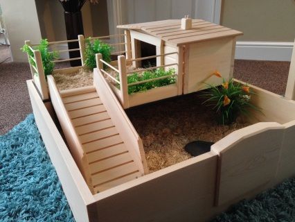 Benefits Of Having A Tortoise Table ~ Tortoise Types