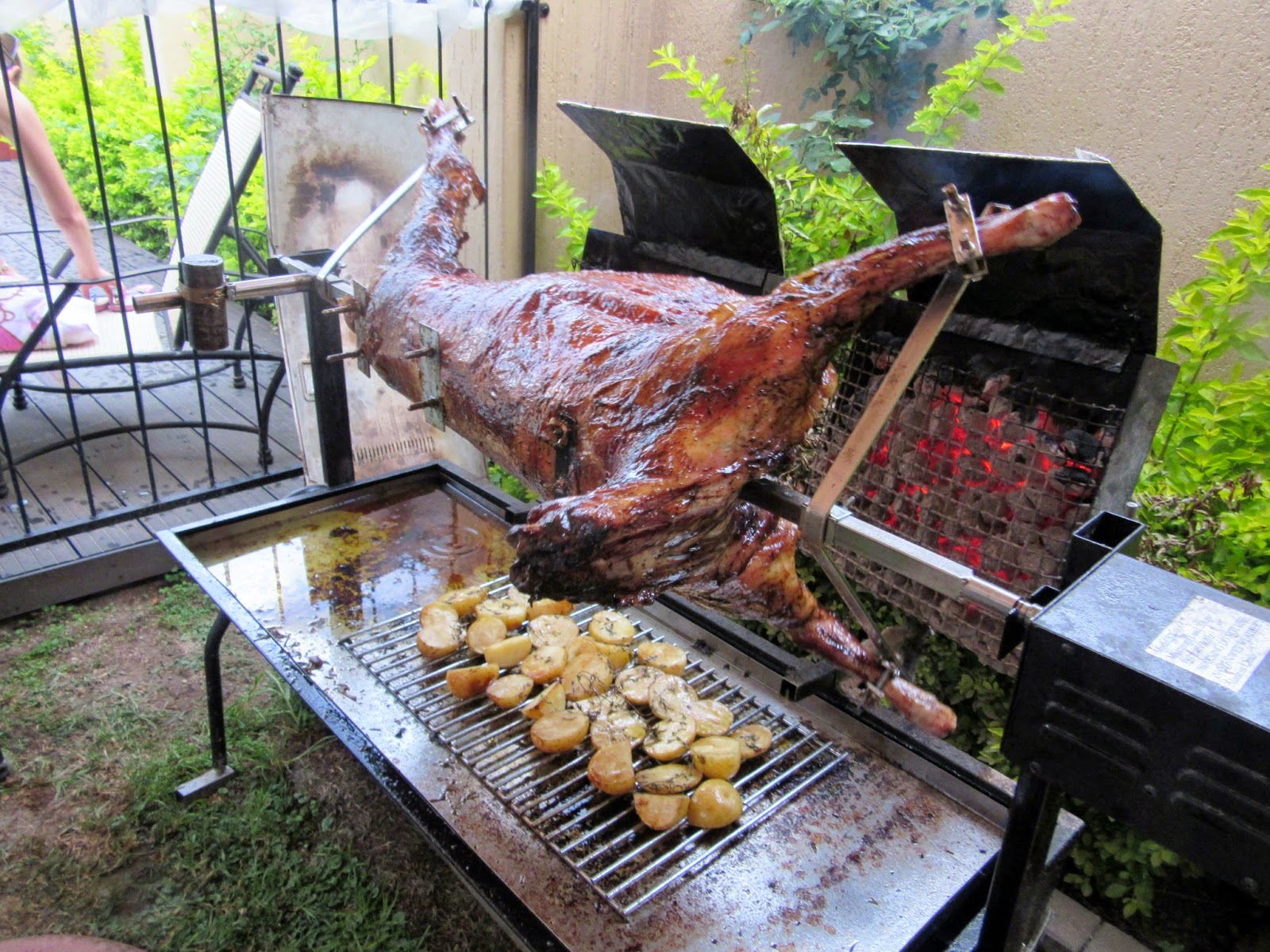 The Great Wildebeest Migration: It's a great day for a spitbraai!