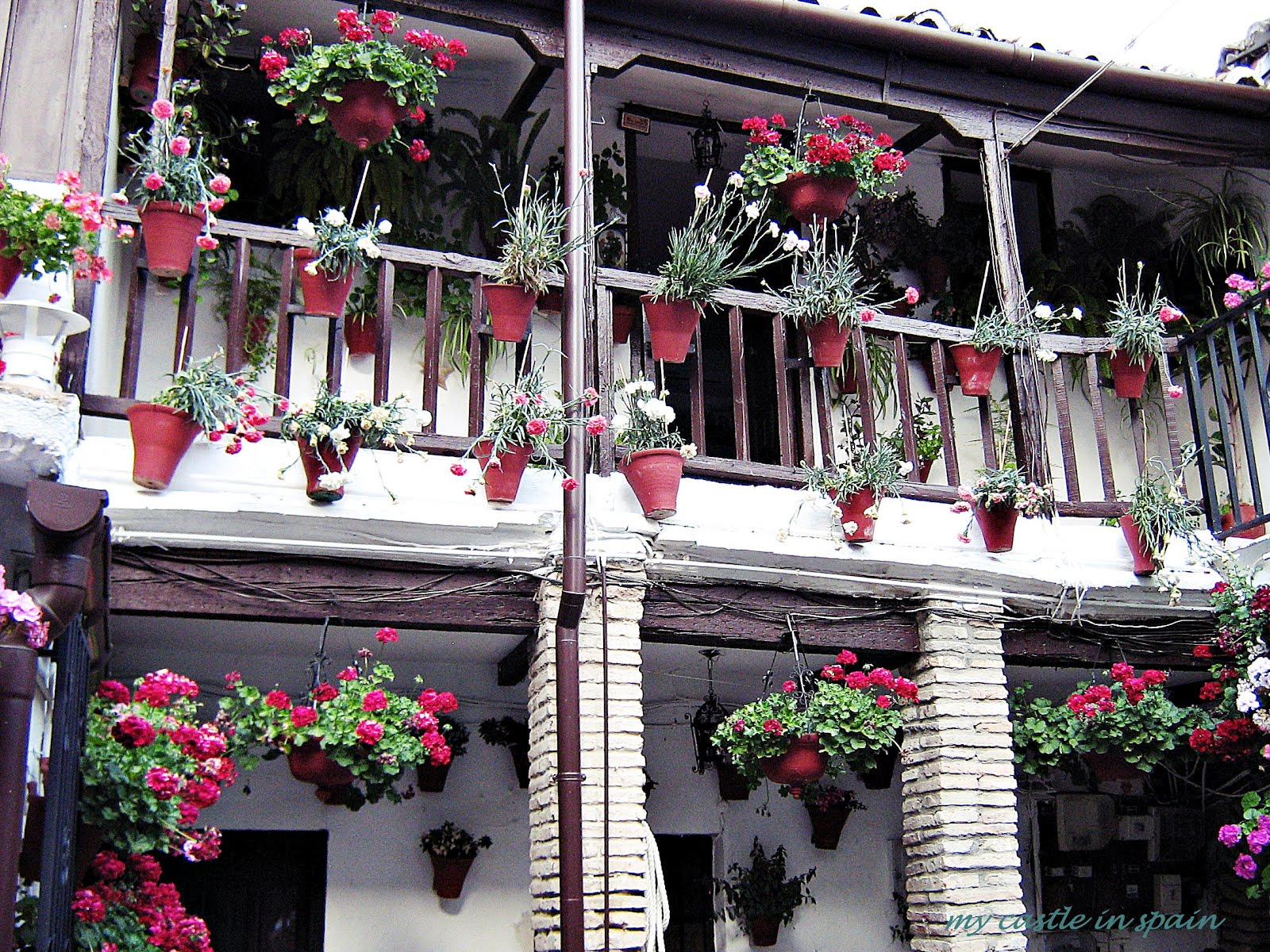 The beauty of the Andalusian patio