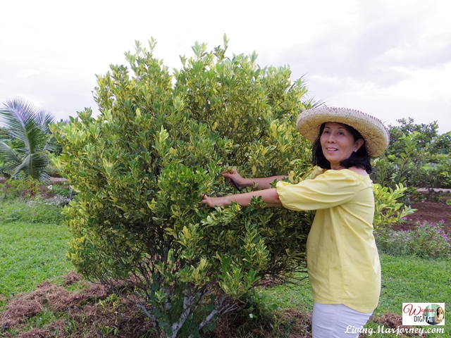 Woman In Digital: My Trip to Sonrisa Organic Farm in Camarines Sur