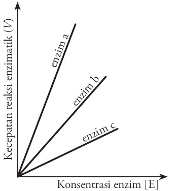 Faktor-Faktor yang Mempengaruhi Kerja Enzim | de Biology