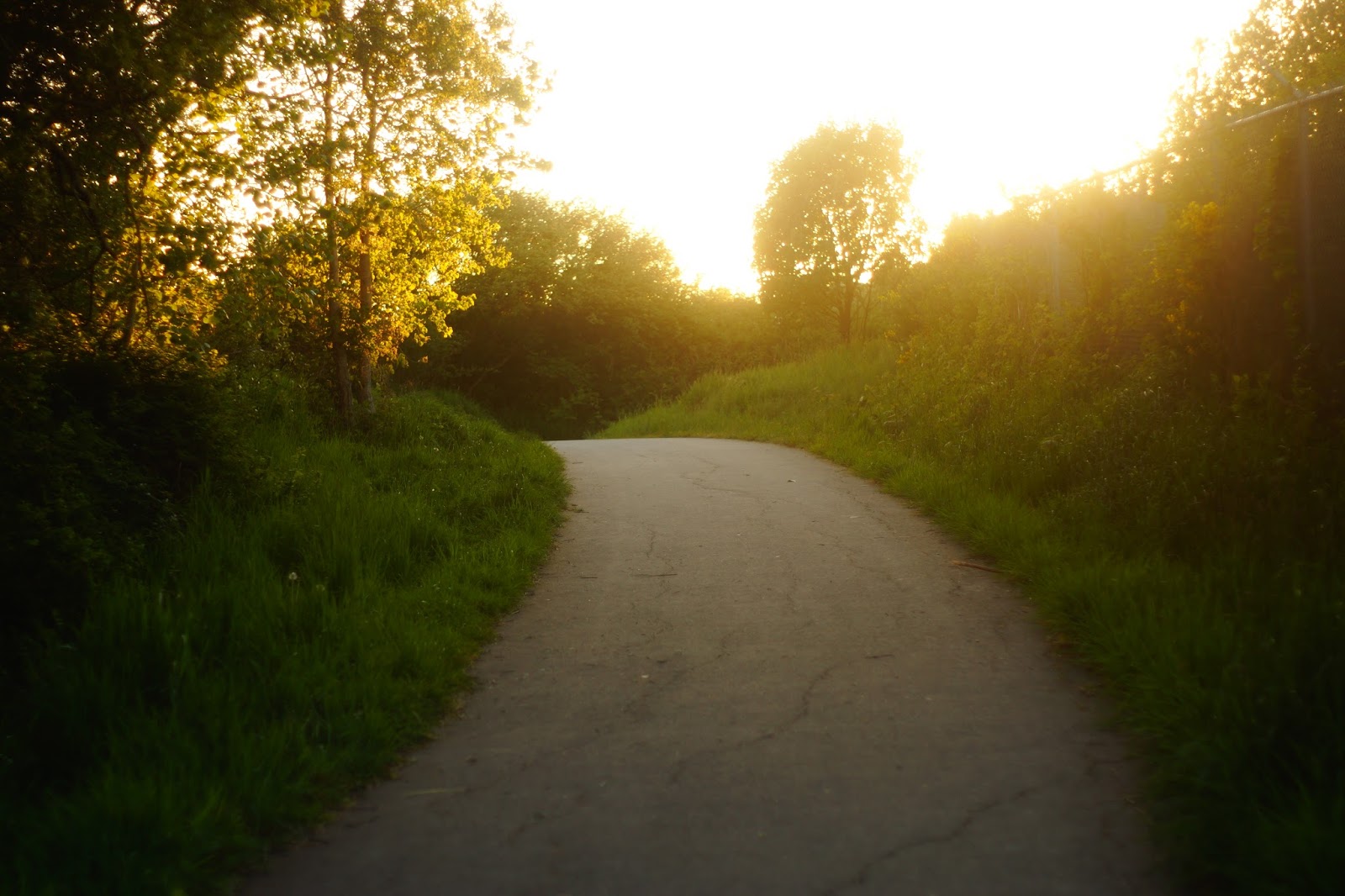 Victoria Daily Photo: An Evening Walk