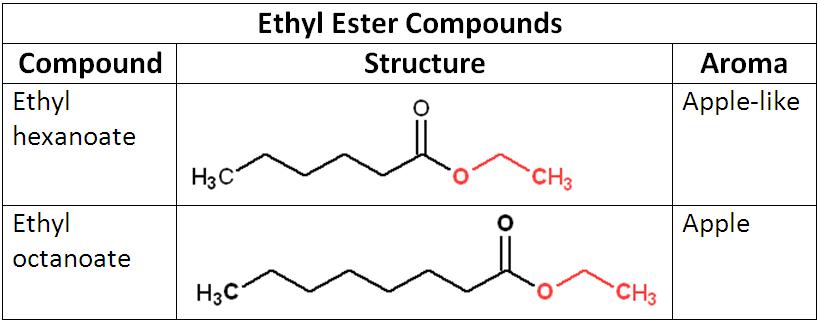 EnoViti: Flavor-active Wine Yeasts: The Acetate and Ethyl Esters