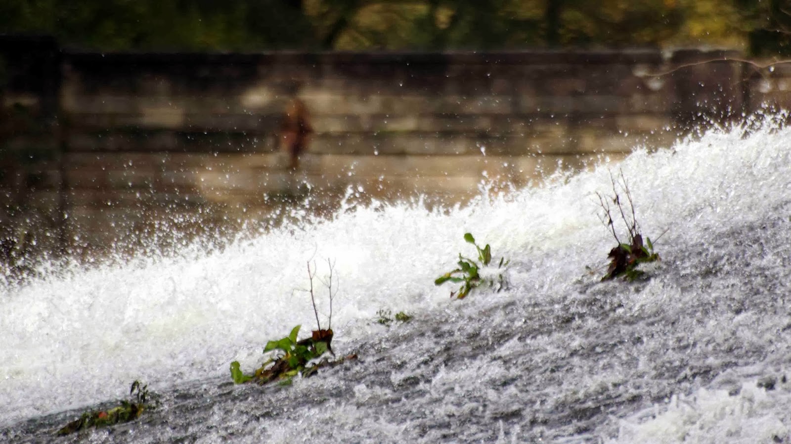 Out & About: Calver Mill and Weir