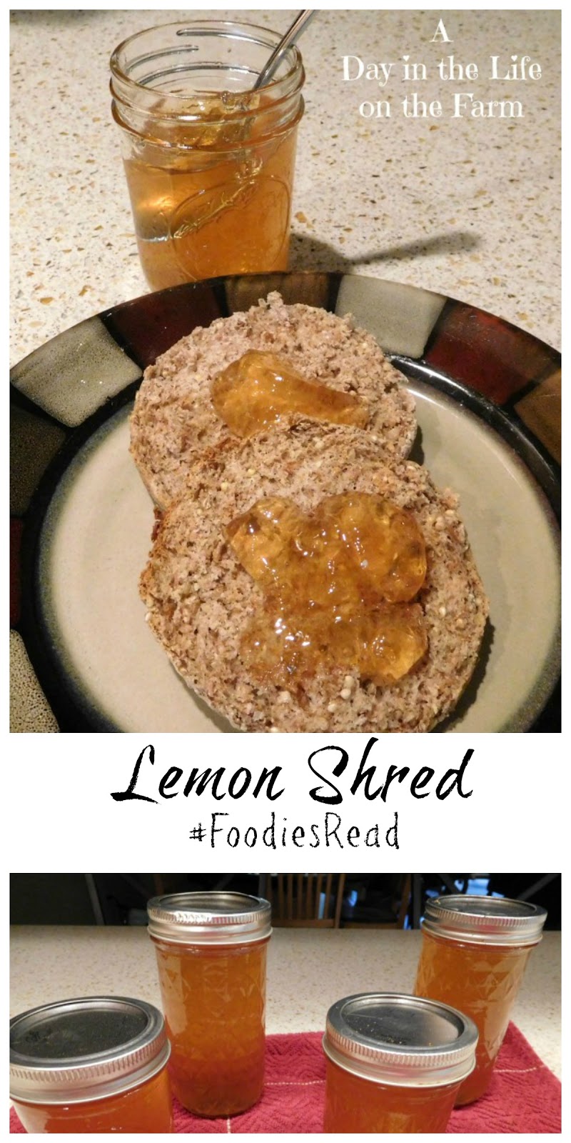 A Day in the Life on the Farm: Lemon Shred inspired by The Practice ...