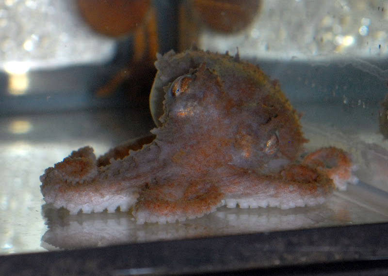 CHSJ News: Jul 17, 2012