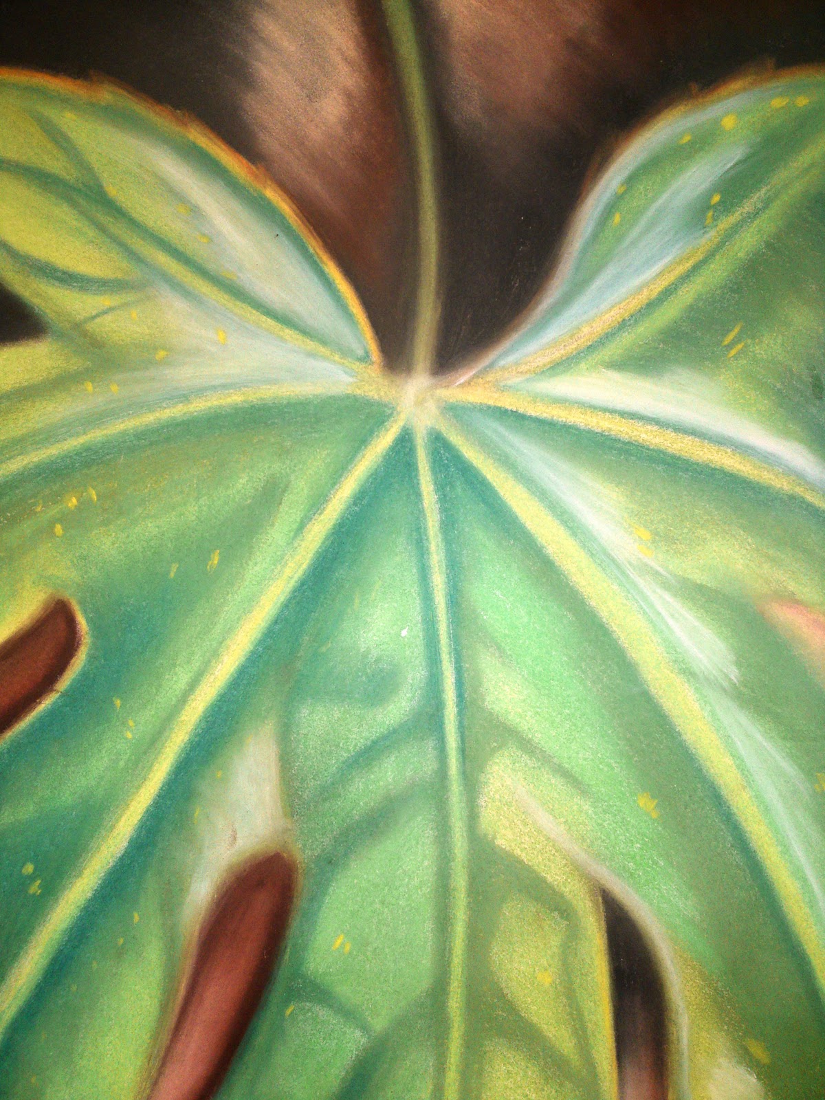 Jen Buck Art: Natural Forms