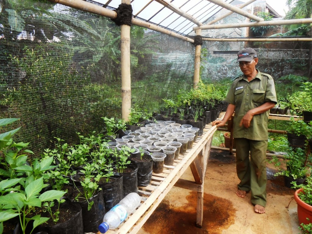 P4S INDONESIA: RUMAH BIBIT & DEMPLOT P2KP CITRA FATMAWATI