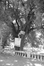 Syed Bahadur Ali: NOSTALGIC - HYDERABAD MOOSI RIVER FLOODS in 1908 ...