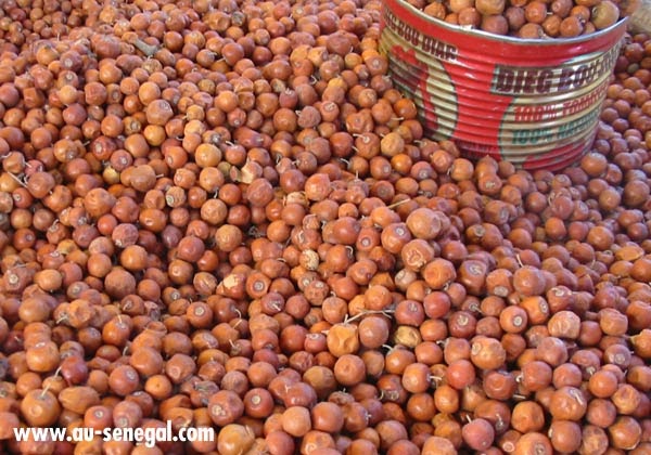 Ain Défali online - ADol - ⴰⵉⵏ ⴹⴻⴼⴰⵍⵉ: Que veut dire Nbeg