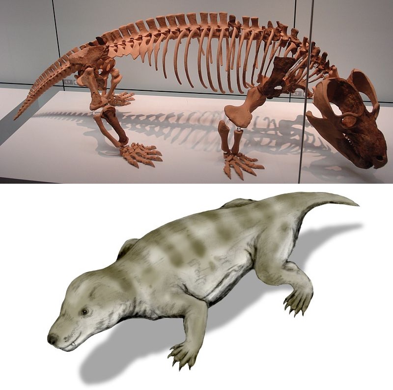 Агуу хувиралтын түүх 4; Аварга дэлбэрэлт болон "Их мөхөл" ~ robomec