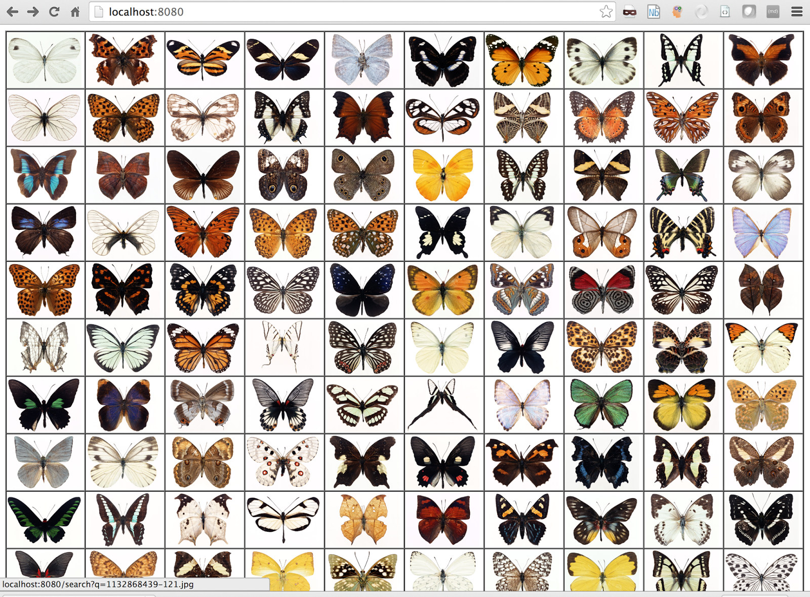 Salmon Run: Elasticsearch based Image Search using RGB Signatures