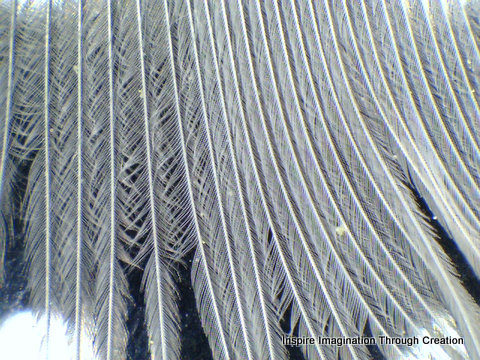 Inspire imagination through creation: Nature tray (part two)