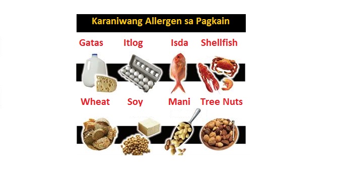 Paano madaling matandaan ang walong dahilan ng 90% ng serious allergic ...