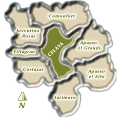 *mii Celaya*: localizacion de celaya*