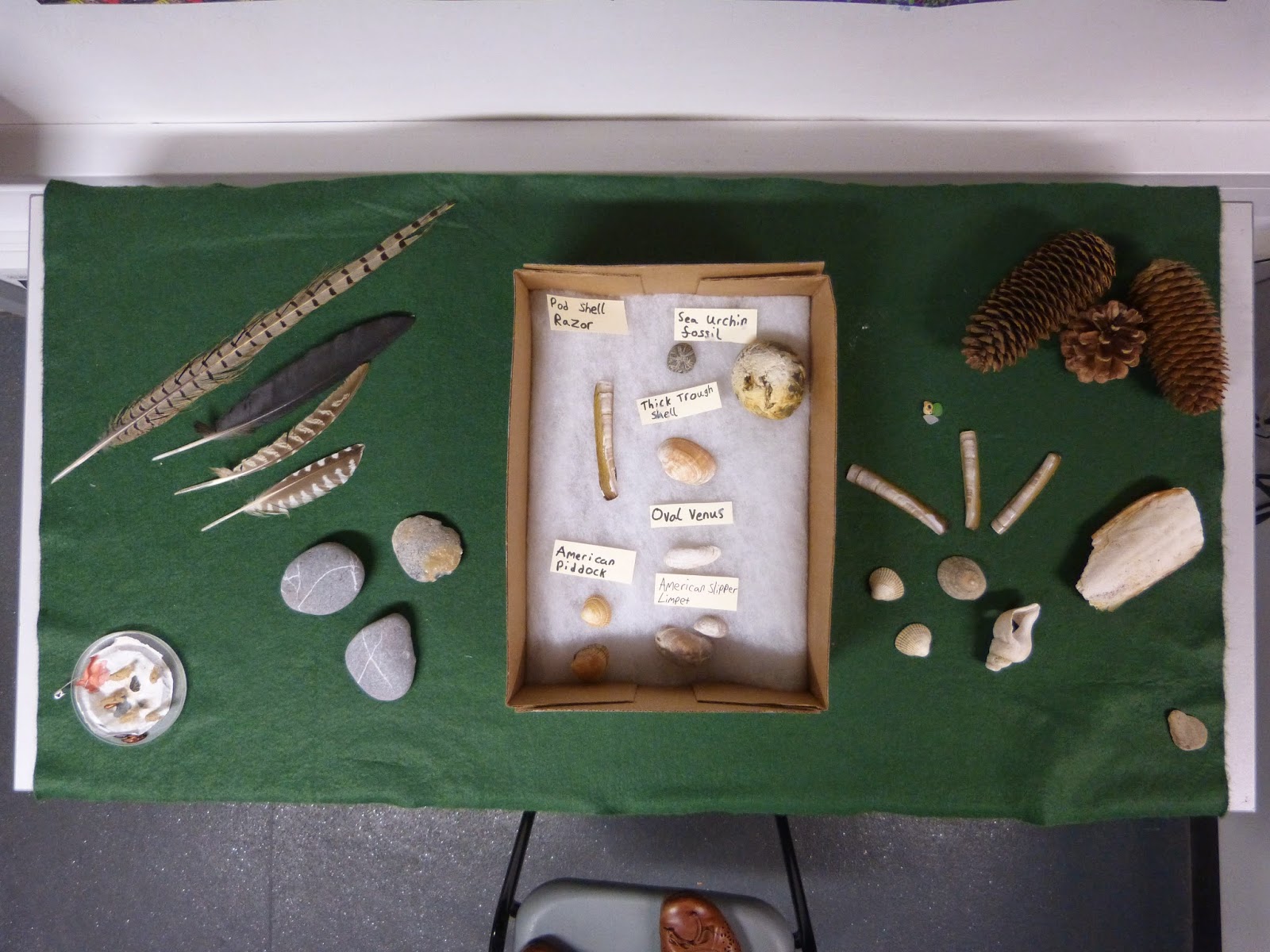 A Wild Life in Norfolk: Creating a Nature Table