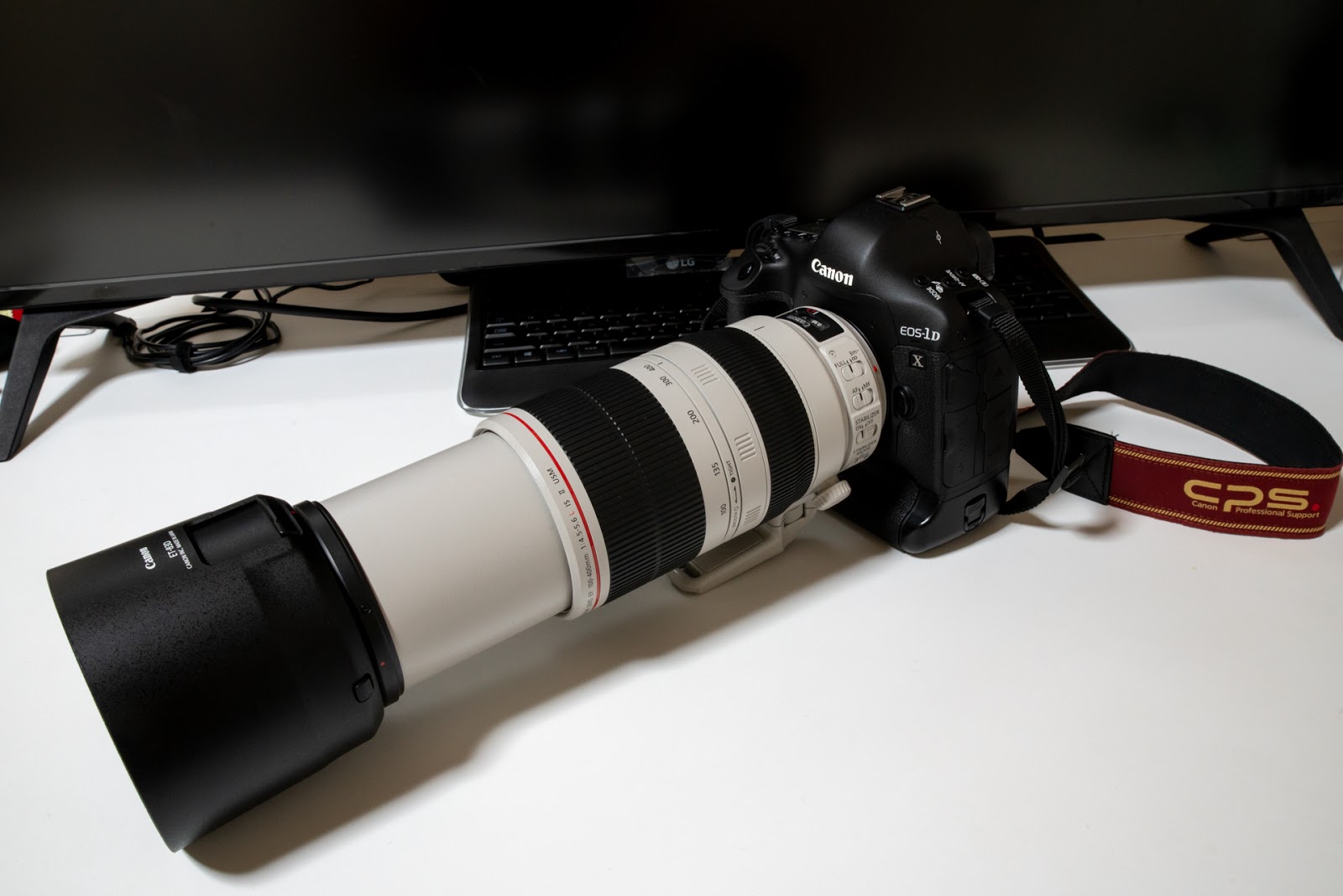 キヤノン EF100-400mm F4.5-5.6L IS II USMレビュー - ゆうのひとりごと