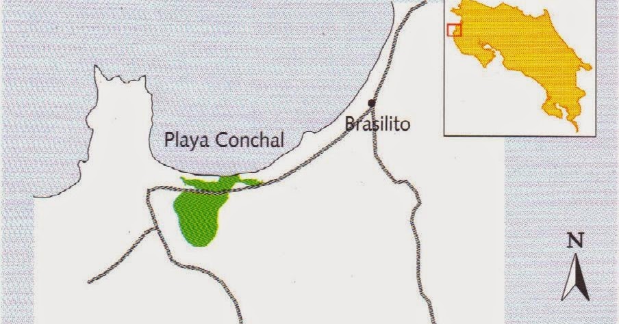 ECOSISTEMAS DE COSTA RICA: REFUGIO NACIONAL DE VIDA SILVESTRE MIXTO CONCHAL