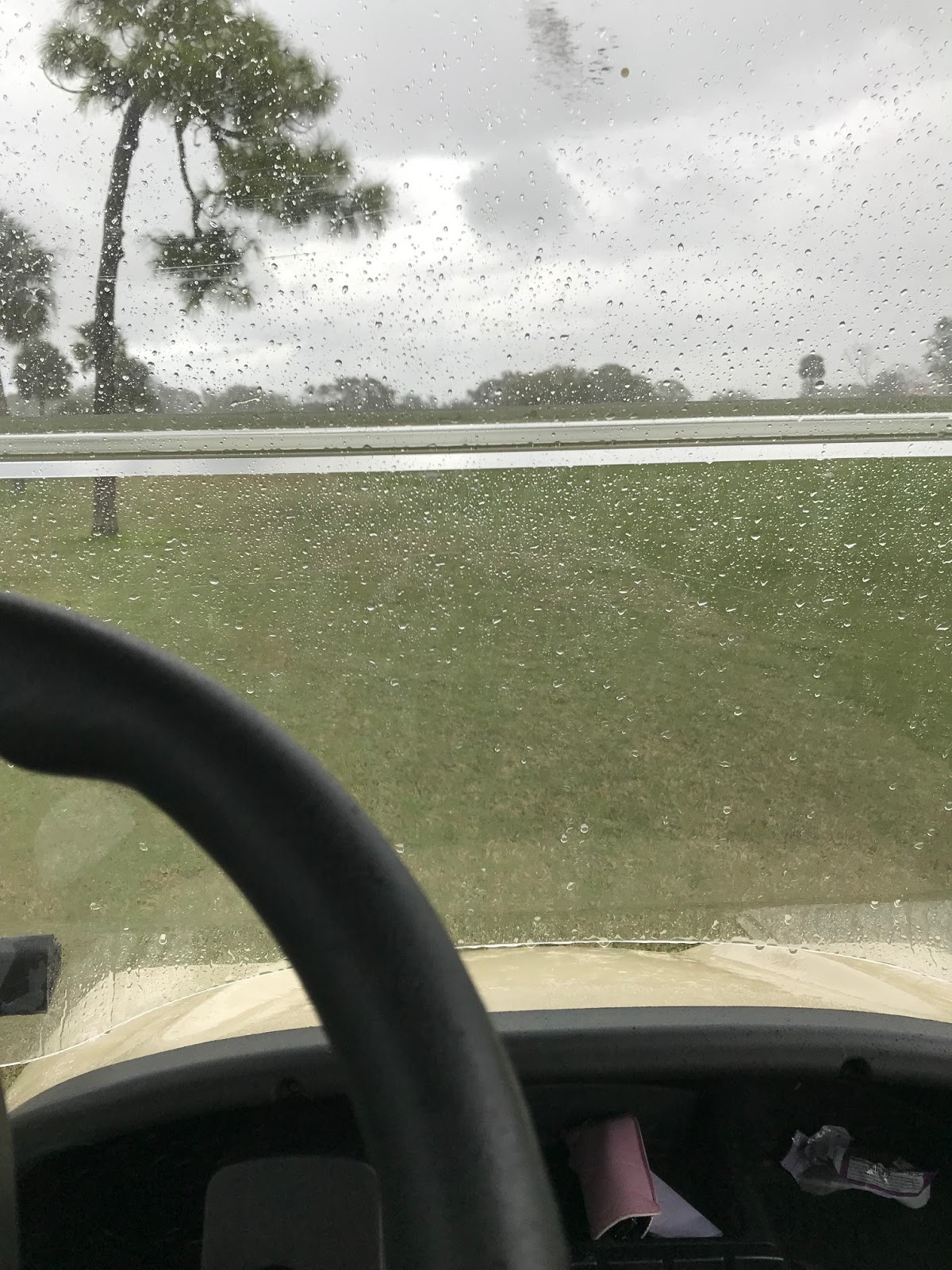 Welcome Words: Frog Strangler, Gulley Washer