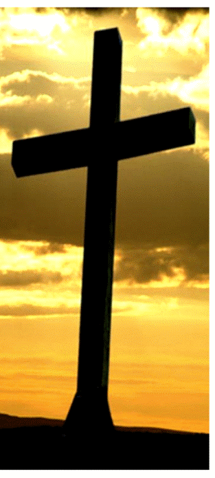 MAR Y LUZ: TU CRUZ Y MI CRUZ