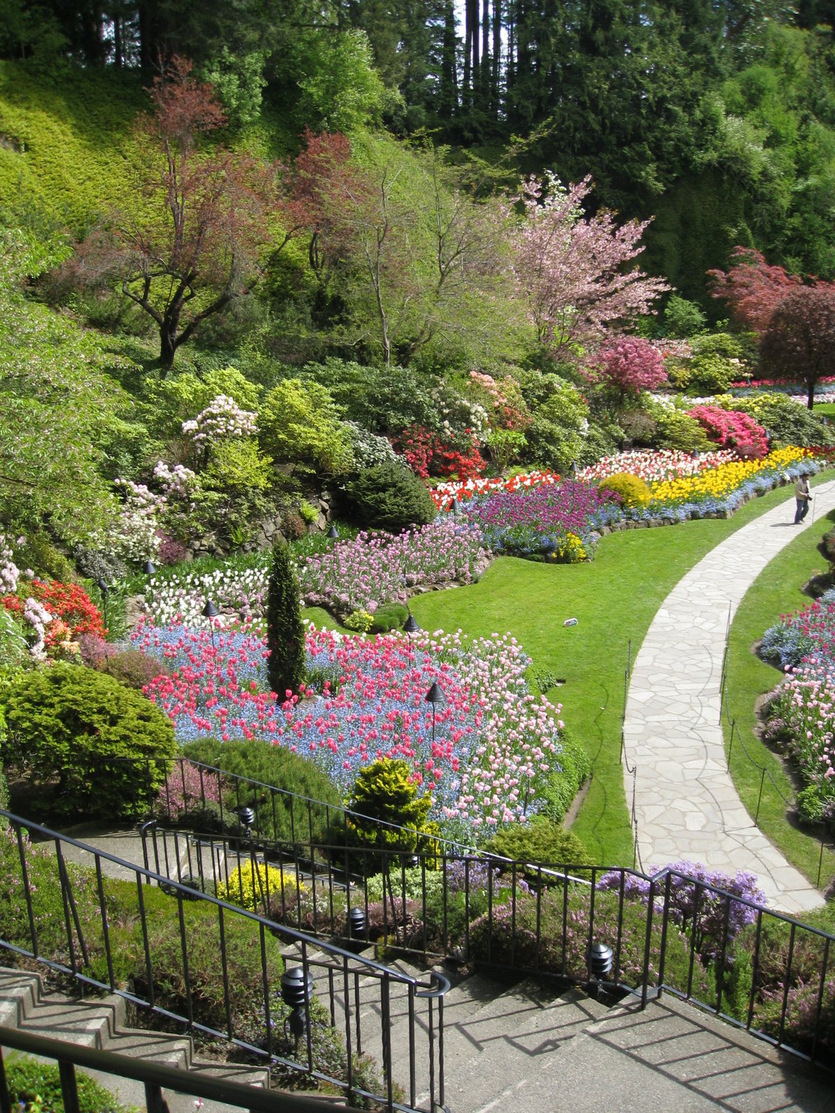 Lesley Turner: Spring In Victoria