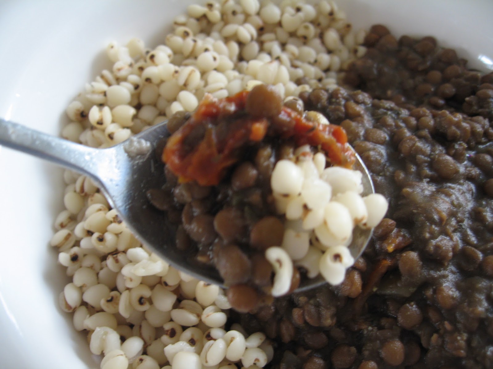 Systemic Candida: Adlay & Lentils