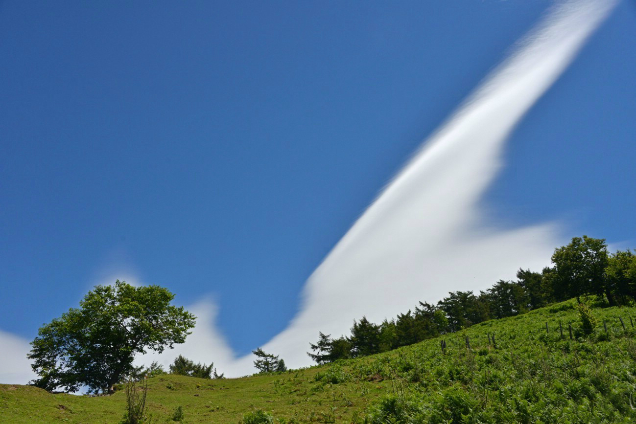 Axul-axula y de cuando en ves, un flor...