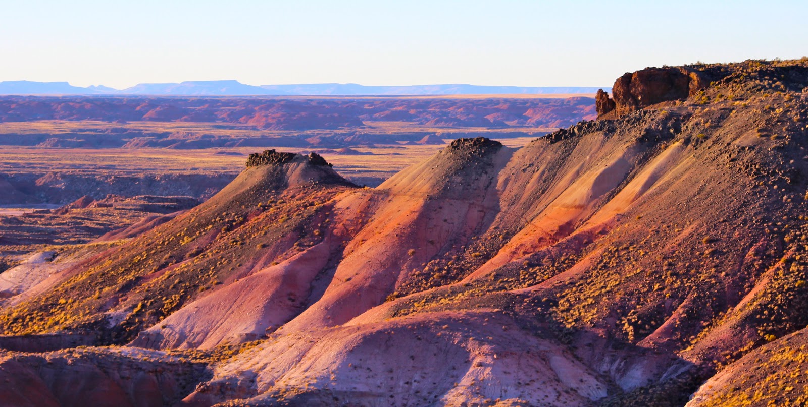 Honey's Treasures: New Mexico, Painted Desert and Petrified Forest