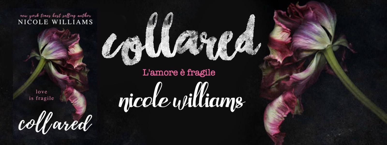 Il Rumore dei Libri Blog: Rubrica English Book "Collared" di Nicole ...