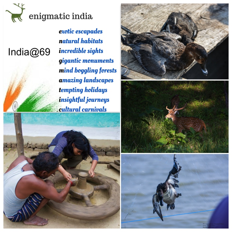 August 2015 - Enigmatic India