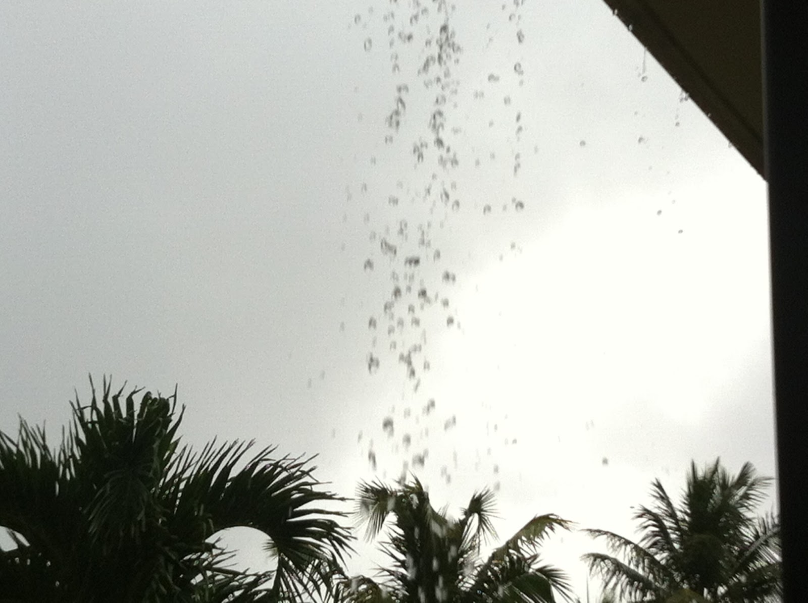 Notes From the Guam Side: Guam in the Winter