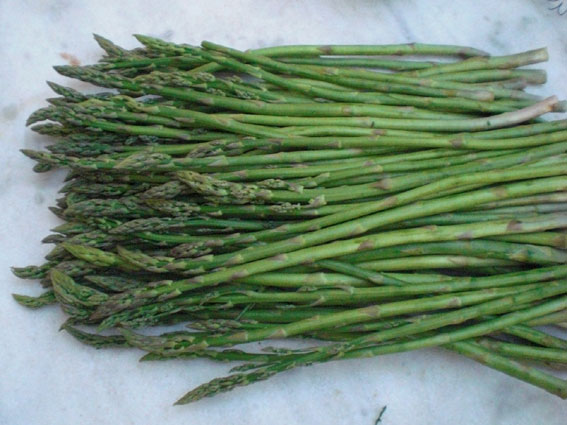 Der Geschmack von Kreta: Wilder Spargel