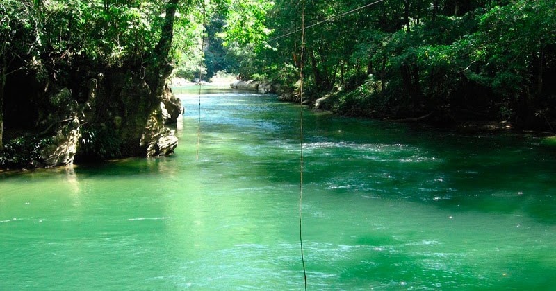 Biodiversidad en Colombia: Rio Claro. Antioquia