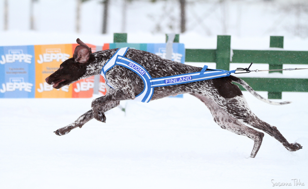 Minna Viide: Gallery