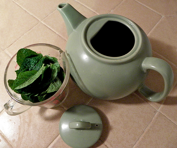 Seasonal Eating: Fresh Mint Tea