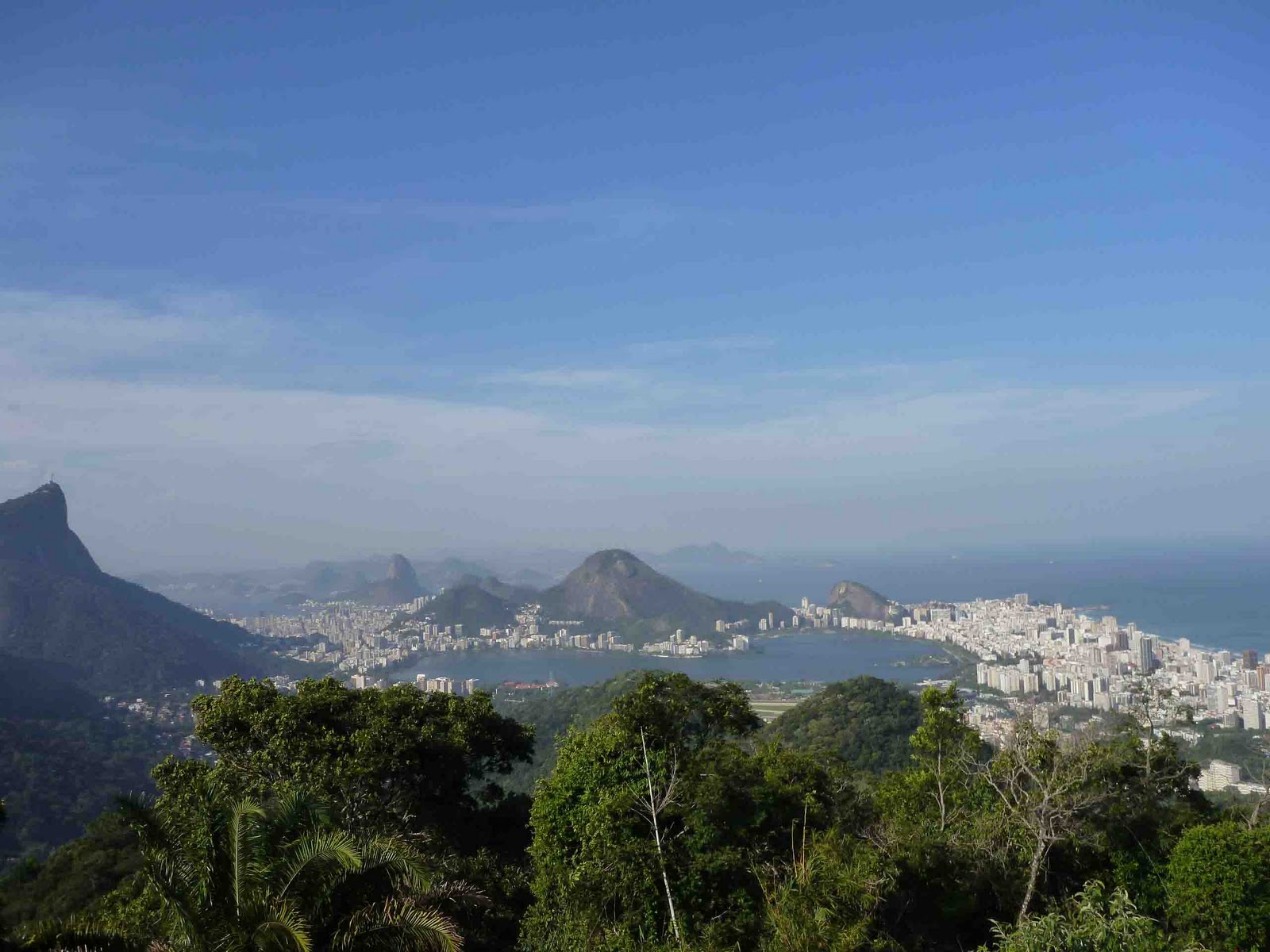 HIKING AND CLIMBING IN RIO DE JANEIRO: JUNGLE TOUR IN TIJUCA NATIONAL PARK