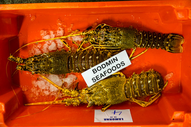 Through the Gaps! - Newlyn Fishing News: 01/09/17 - 01/10/17 Cornwall ...