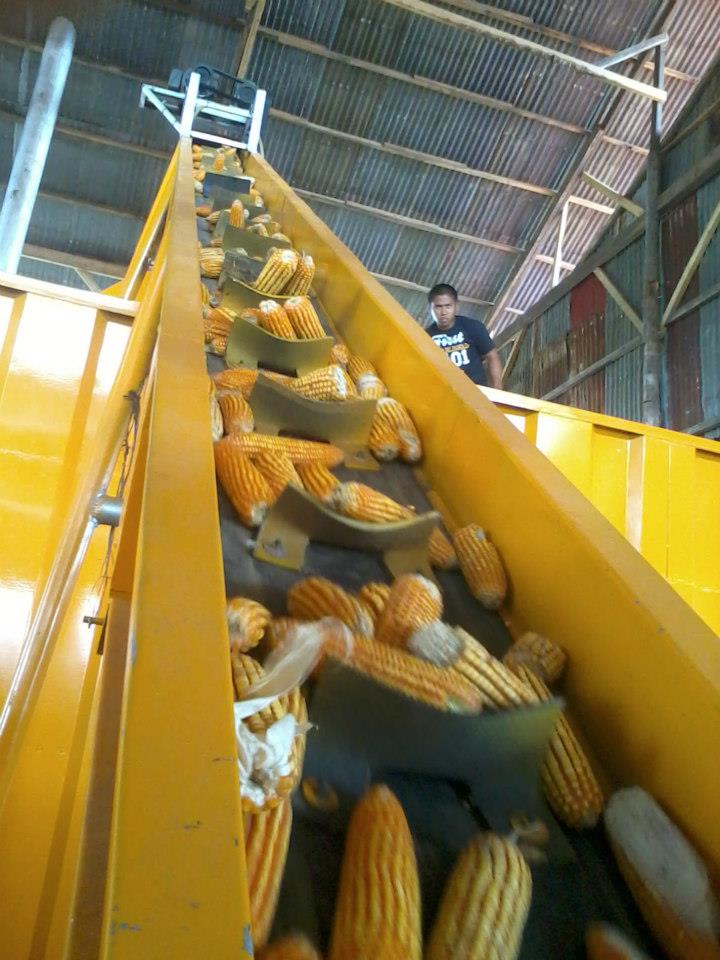 Turnover of Village Type Corn on Cob Dryer ~ Sole Vision