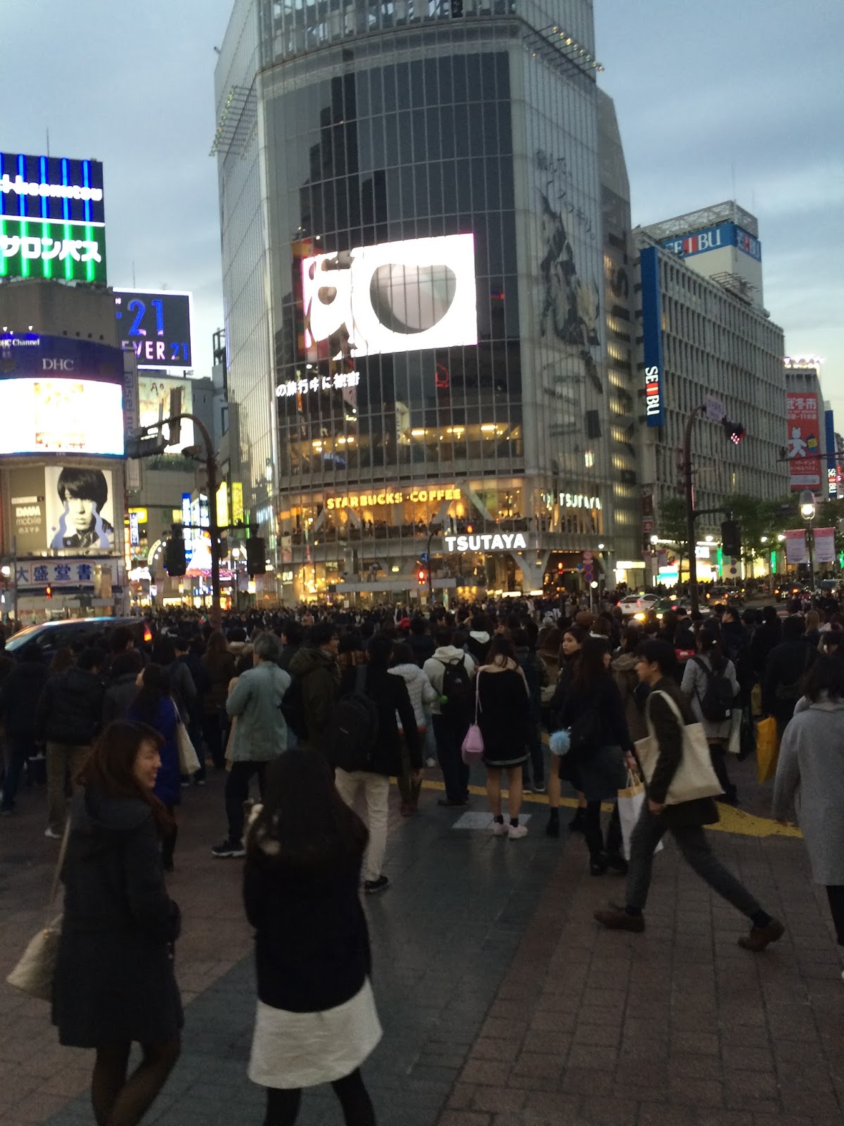 nekotokoohii: Day 1: Anna's Birthday (Shibuya, Akihabara, Harajuku ...