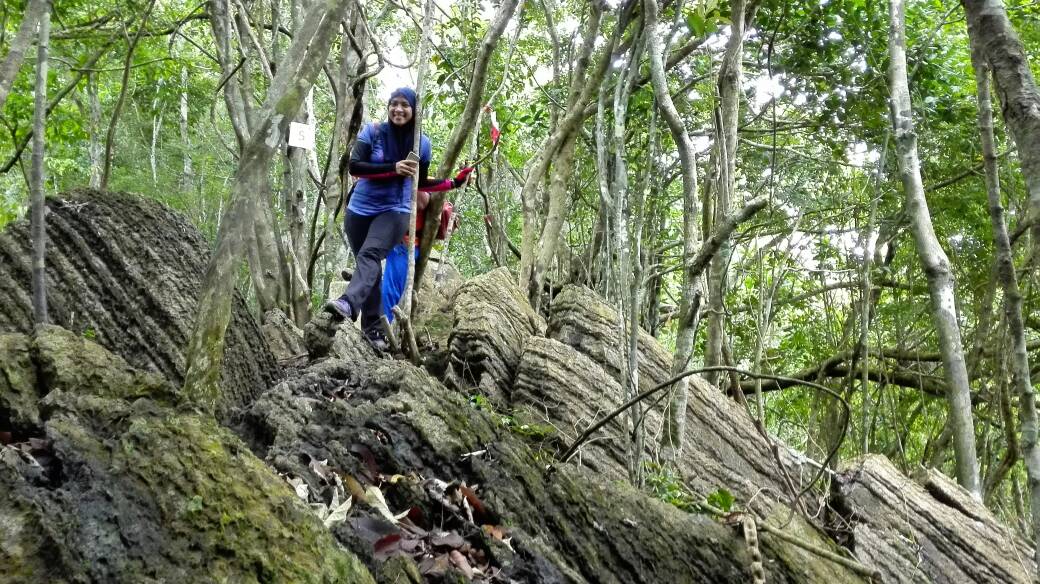 PINTU WANG GUNUNG , PERLIS