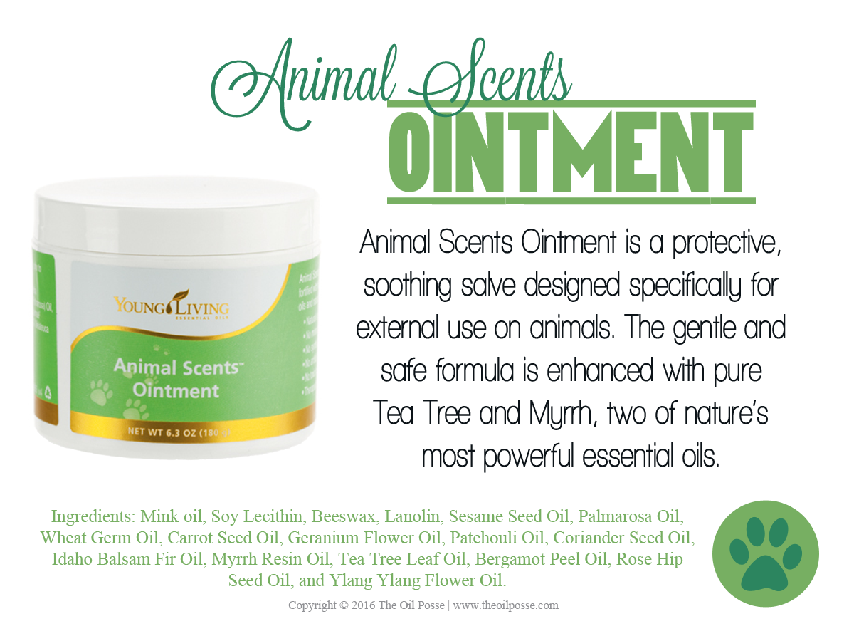 Essential Oils & Animals