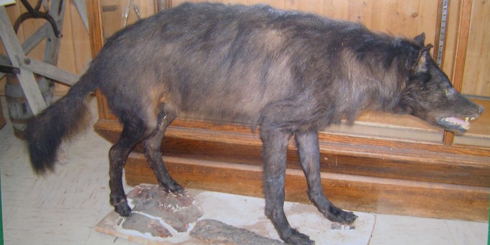 Με πολύ απλά λόγια...: - MYΘΟΙ, ΜΥΣΤΗΡΙΑ ΚΑΙ ΜΥΘΙΣΤΟΡΗΜΑΤΑ (Β' ΜΕΡΟΣ)