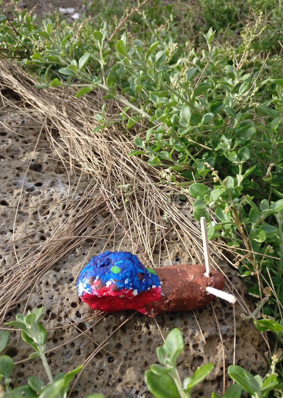 imagining life forms